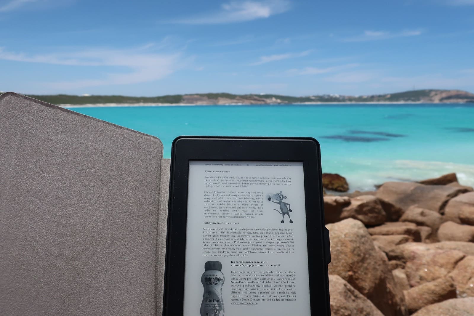 Why Convert PDF To EPub The 4 Reasons To Get Convinced why-convert-pdf-to-epub-the-4-reasons-to-get-convinced
